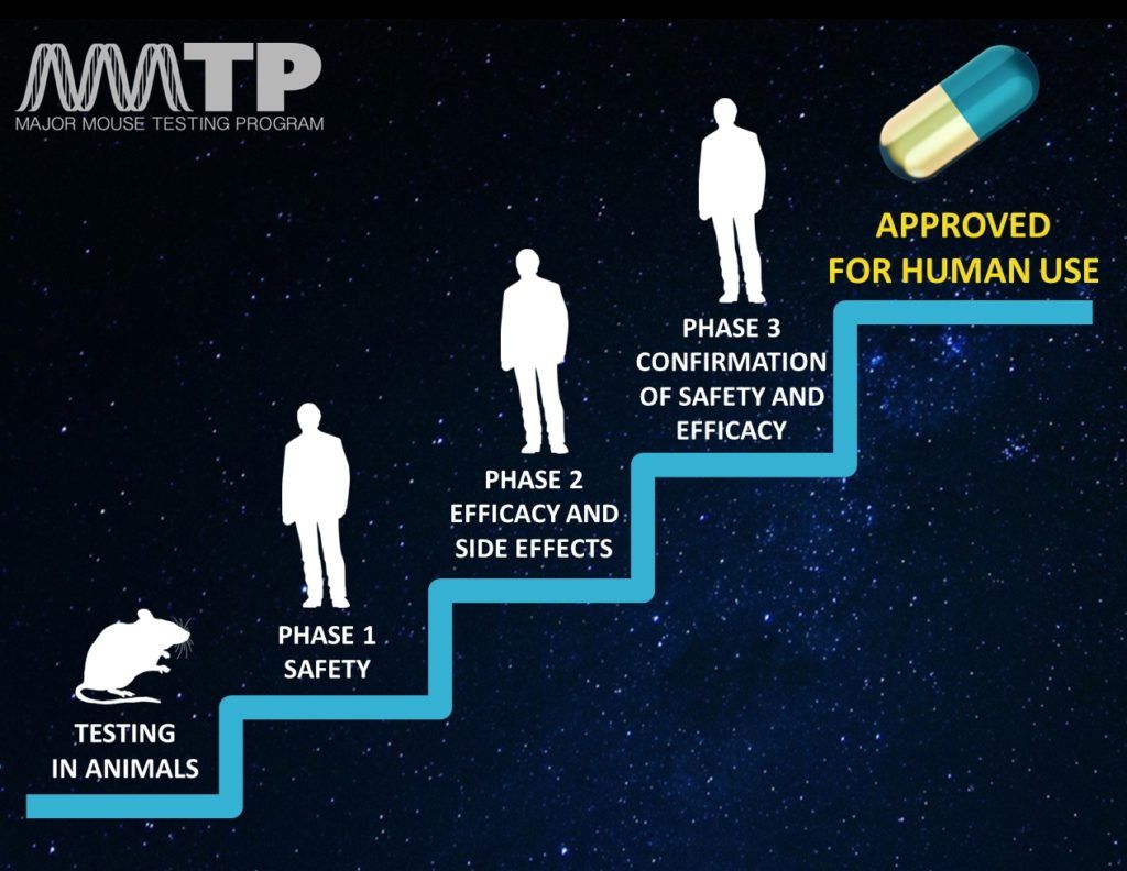 The Major Mouse Testing Program | Lifespan.io