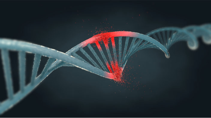 broken DNA | Lifespan.io
