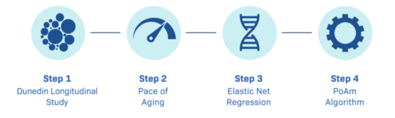 A New Generation of Epigenetic Aging Clock