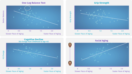 A New Generation of Epigenetic Aging Clock