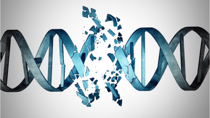 DNA Damage, Inflammation, and the Stem Cell Microenvironment