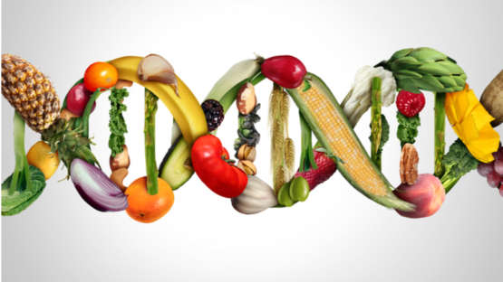Higher Diet Quality Is Linked to Reduced Epigenetic Aging
