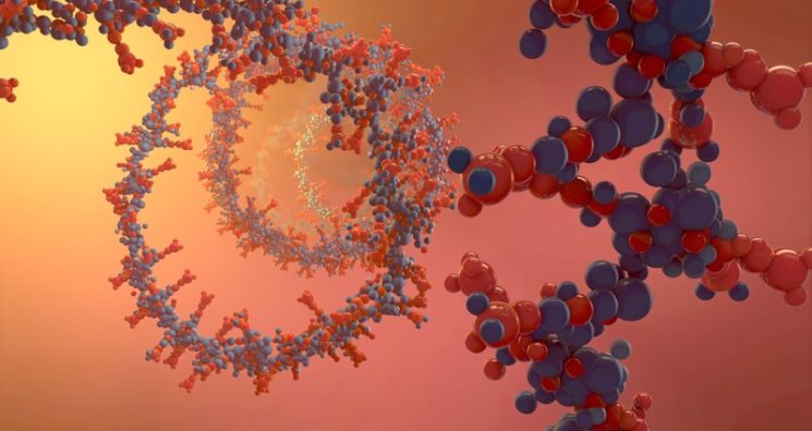 Why we Age: Altered Intercellular Communication