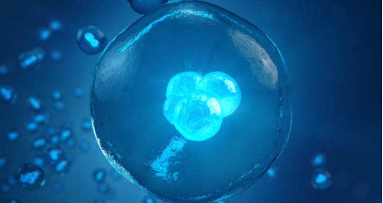 Why we Age: Altered Intercellular Communication