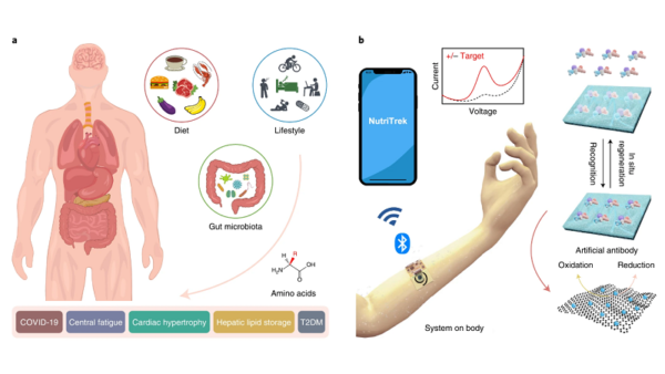 A Wearable Device to Monitor Metabolites and Nutrients