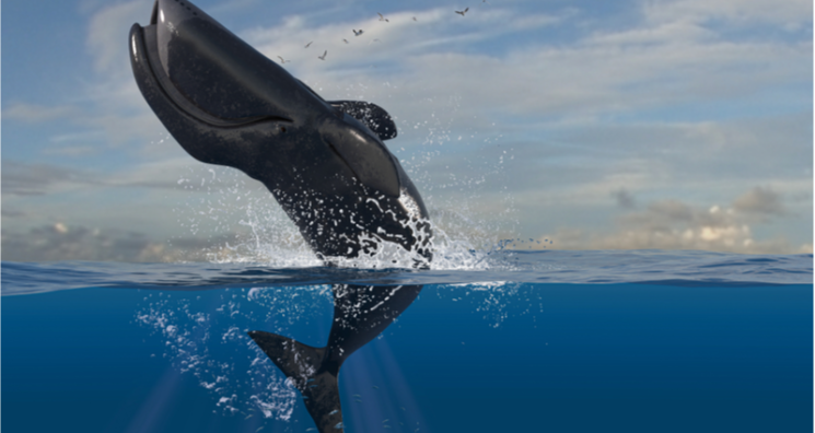 A Guide to Logical Fallacies | Lifespan.io