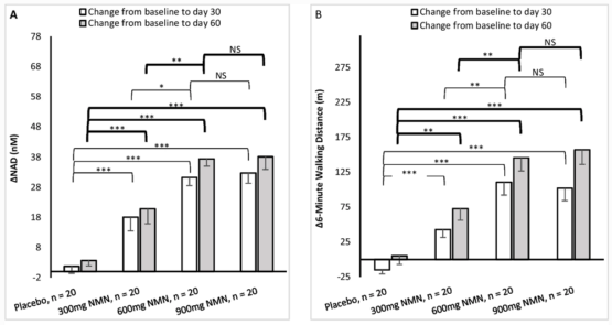 Study Suggests NMN May Improve NAD+ and Walking Speed