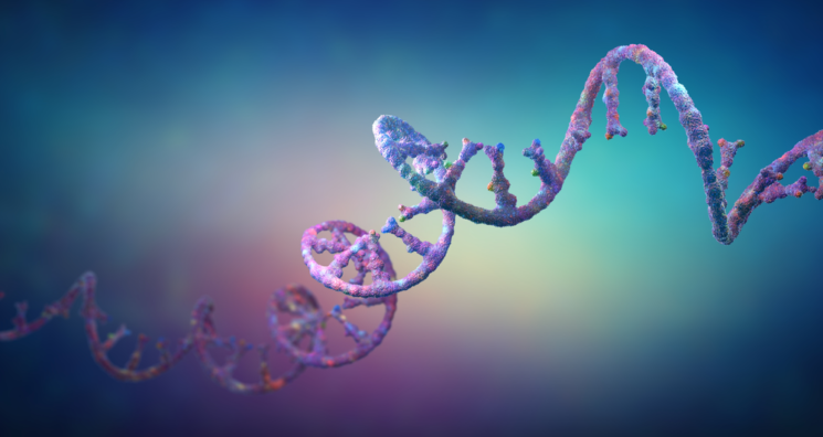 D3 | Lifespan.io
