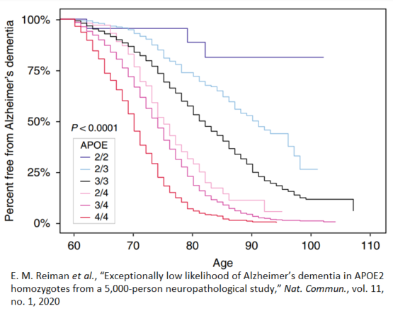 The Relationship Between ApoE and Alzheimer’s | Lifespan.io