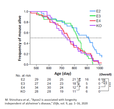 The Relationship Between ApoE and Alzheimer’s | Lifespan.io