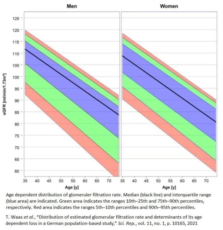 Red Blood Cells as Biomarkers of Aging | Lifespan.io