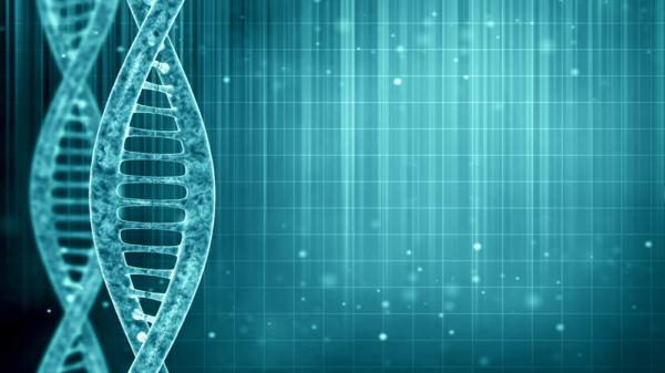 Inhibiting DREAM for Enhanced DNA Damage Repair