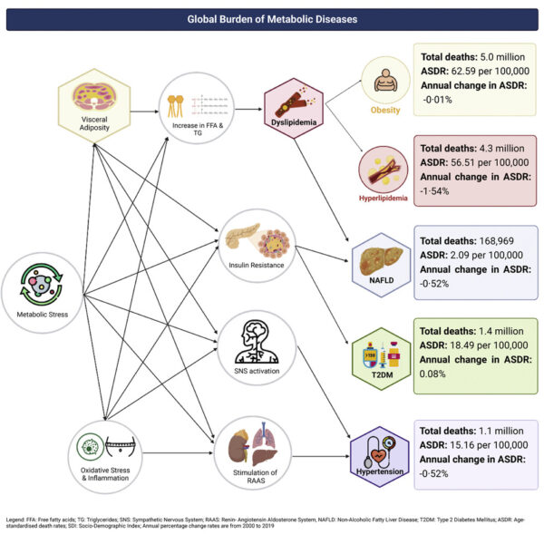 The Human Cost of Metabolic Diseases | Lifespan Research Institute