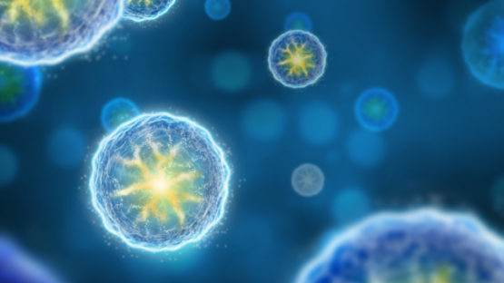 Young Brain Cells Outcompete Old Cells in a Mouse Model