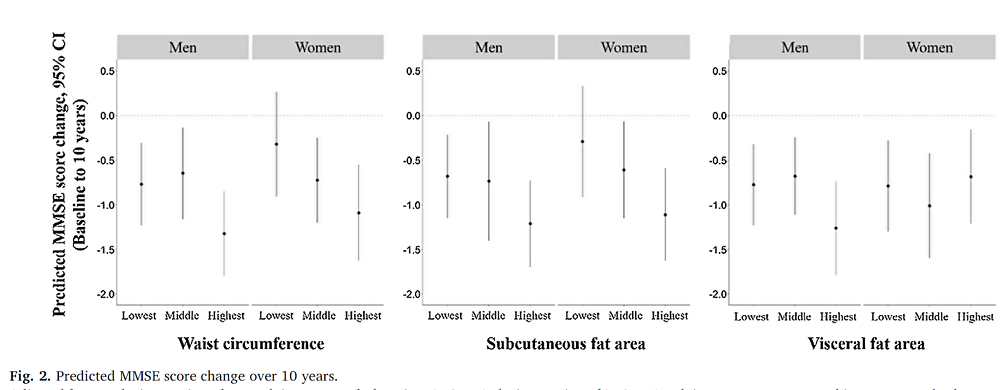 Higher Abdominal Fat Associated with Cognitive Decline - News - LONGECITY Higher Abdominal Fat Associated with Cognitive Decline - News - LONGECITY