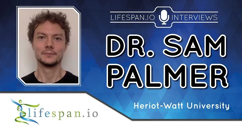 Dr. Sam Palmer – Thymic Involution and Cancer Risk | Lifespan.io