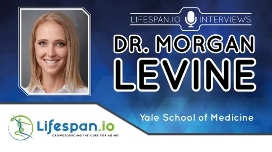 Morgan Levine on improving epigenetic clocks| Lifespan.io