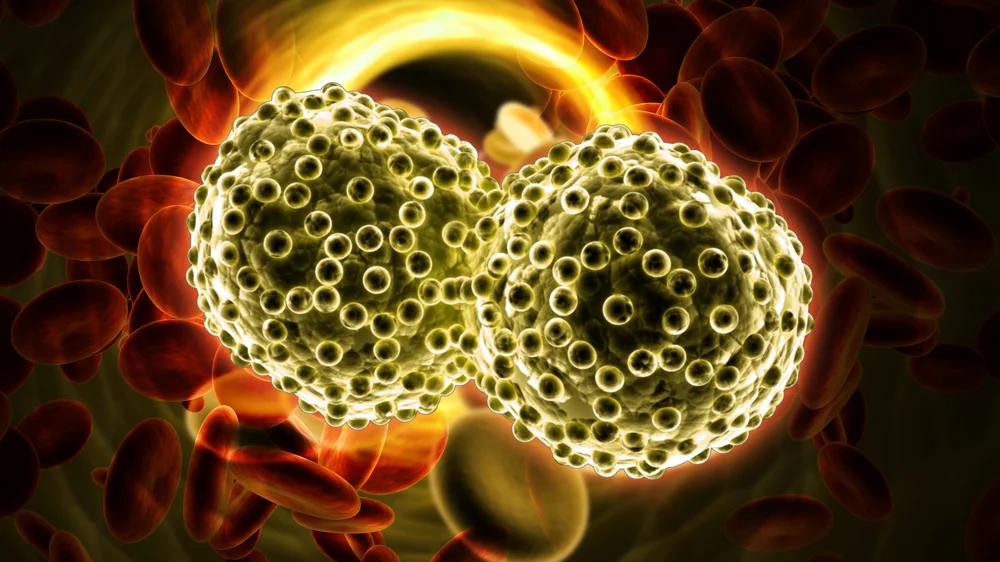 Using senescent cancer cells to fight cancer | Lifespan.io