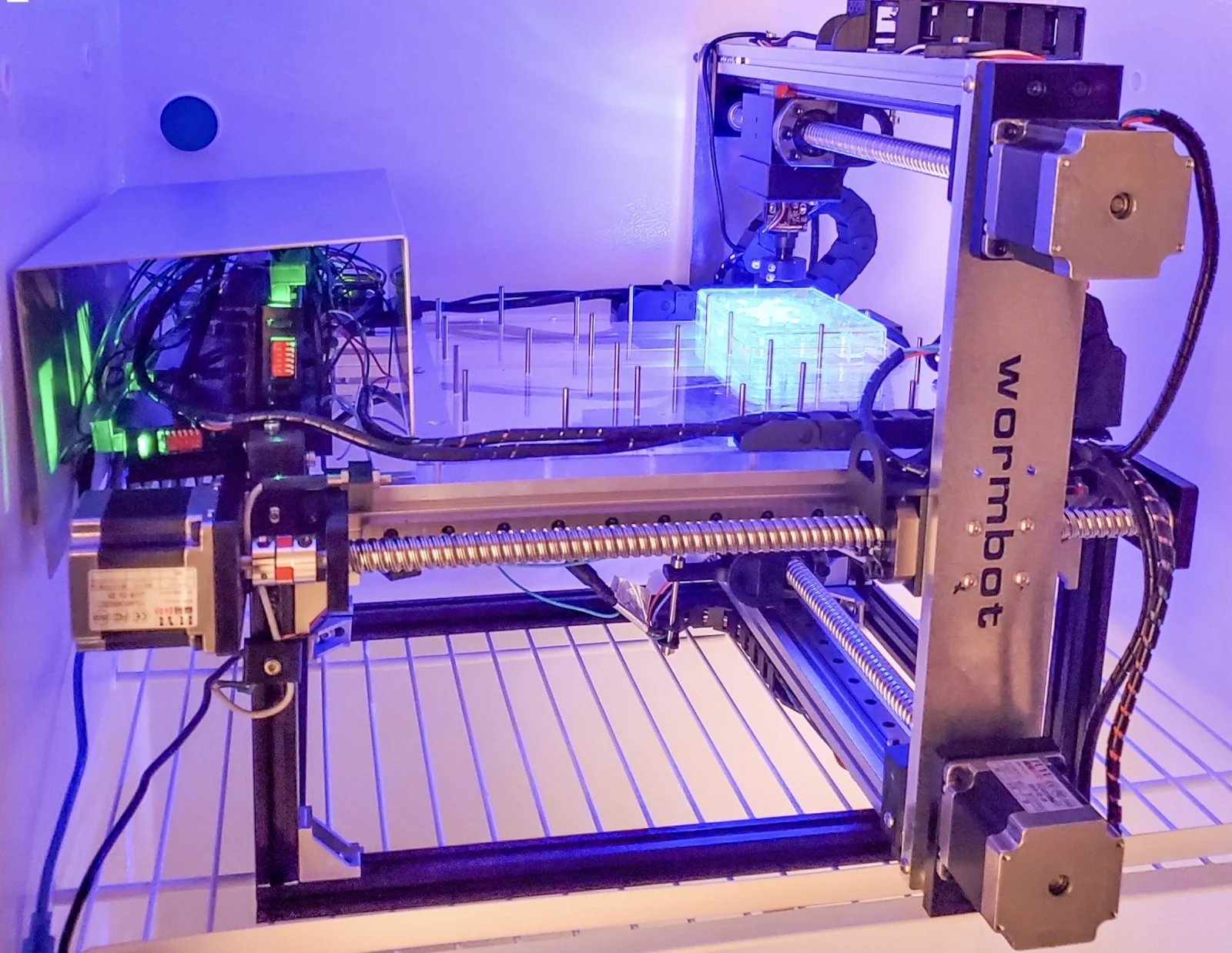 WormBot and the Dog Aging Project| Lifespan.io