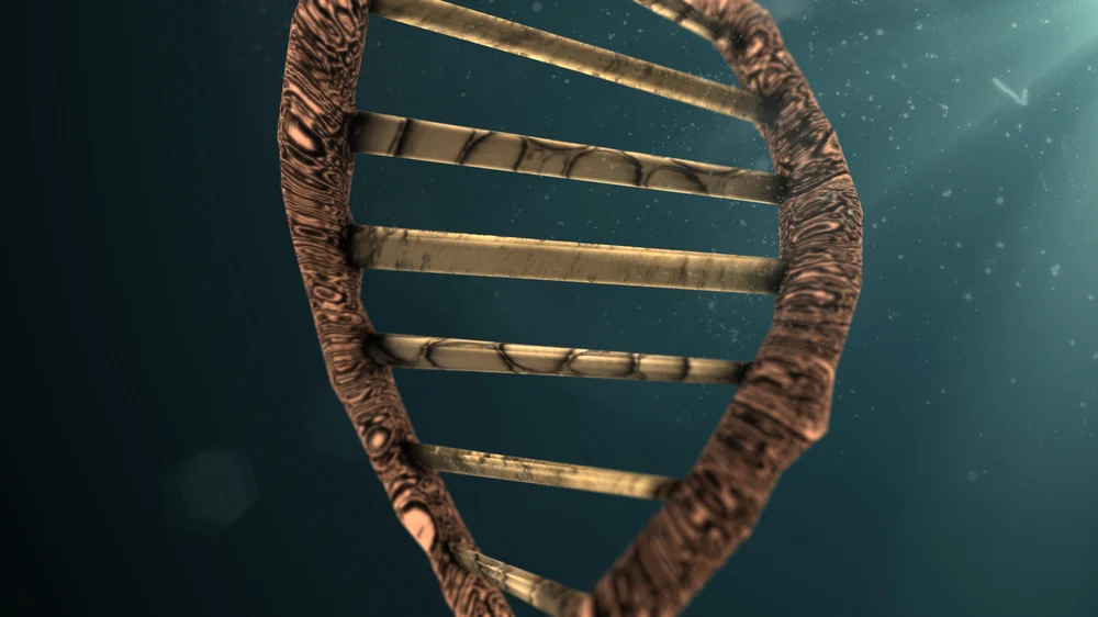 Mitochondria, DNA, and Oxidative Stress | Lifespan.io