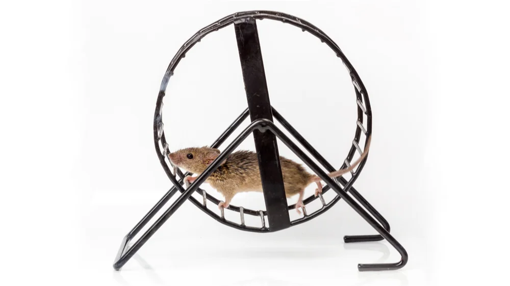 Gene therapy reduces sarcopenia