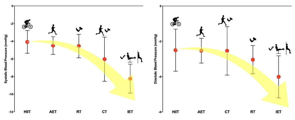 Blood Pressure benefits of isometric exercises | Lifespan.io