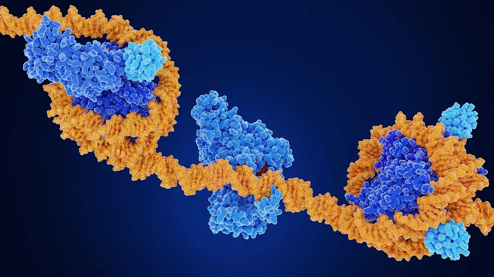 Reprogramming Away DNA Damage | Lifespan.io