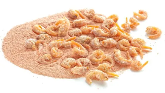 Chitosan May Preserve Women's Fertility | Lifespan.io