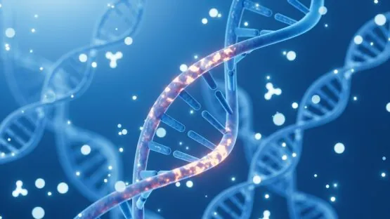 Reprogramming Cells for Rejuvenation | Lifespan.io