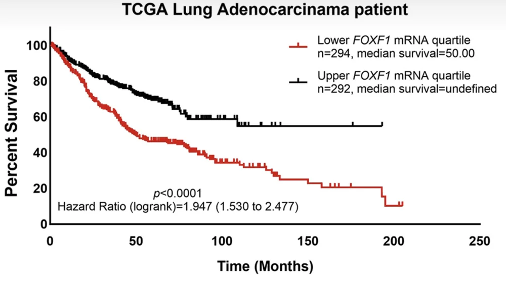 A New Protein Approach to Lung Cancer | Lifespan.io