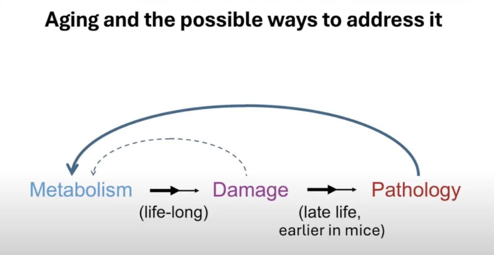 How to Defeat Aging? Two Scientists Offer Their Visions