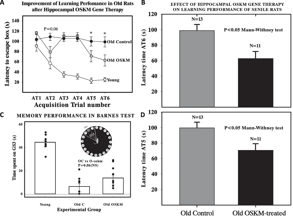 Cellular Reprogramming Improves Cognition in Aged Rats