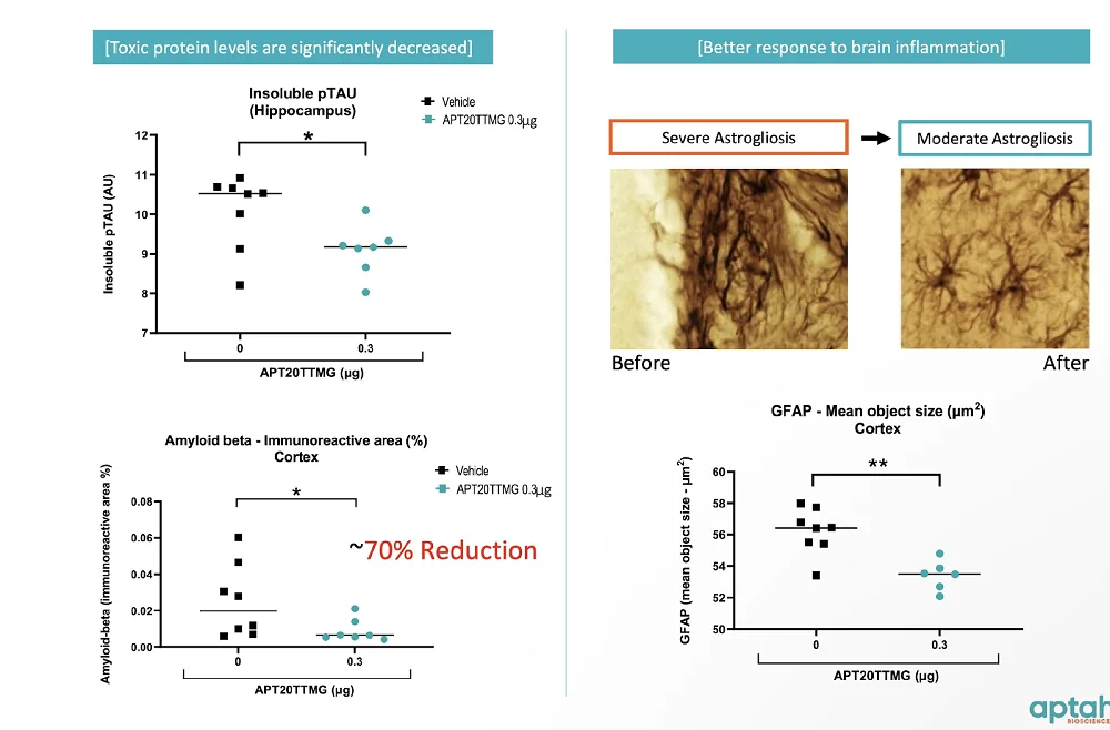 For the 11th Year in Copenhagen: Highlights from ARDD 2024