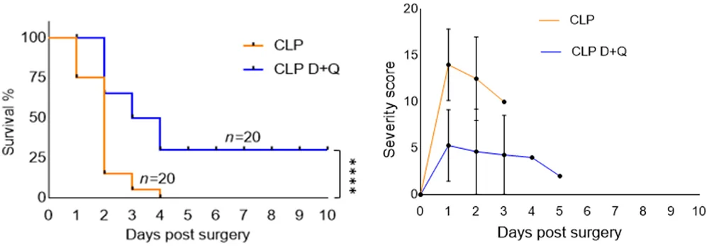 A Senolytic Treatment for Liver Sepsis | Lifespan.io